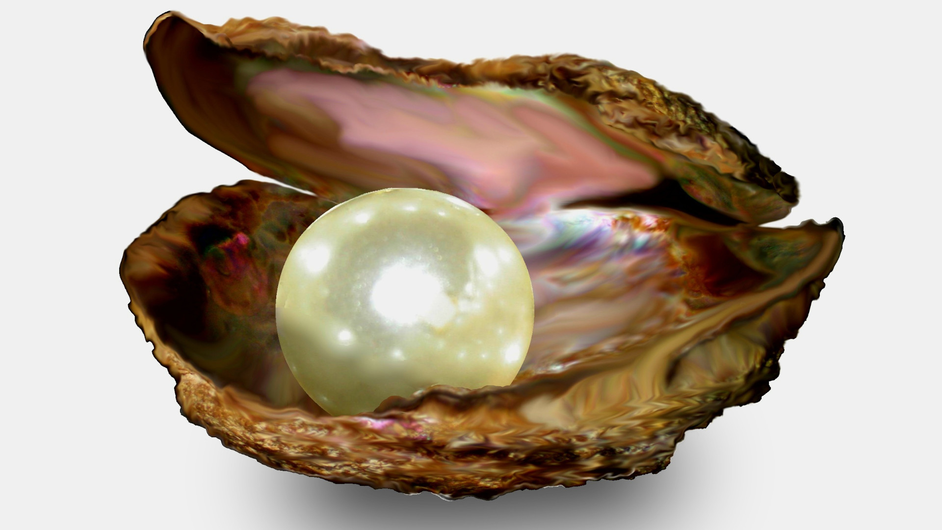 Christ s Object Lessons Lesson 18 A Pearl Of Great Price Part 1 Christ s Object Lessons Lesson 18 A Pearl Of Great Price Part 1