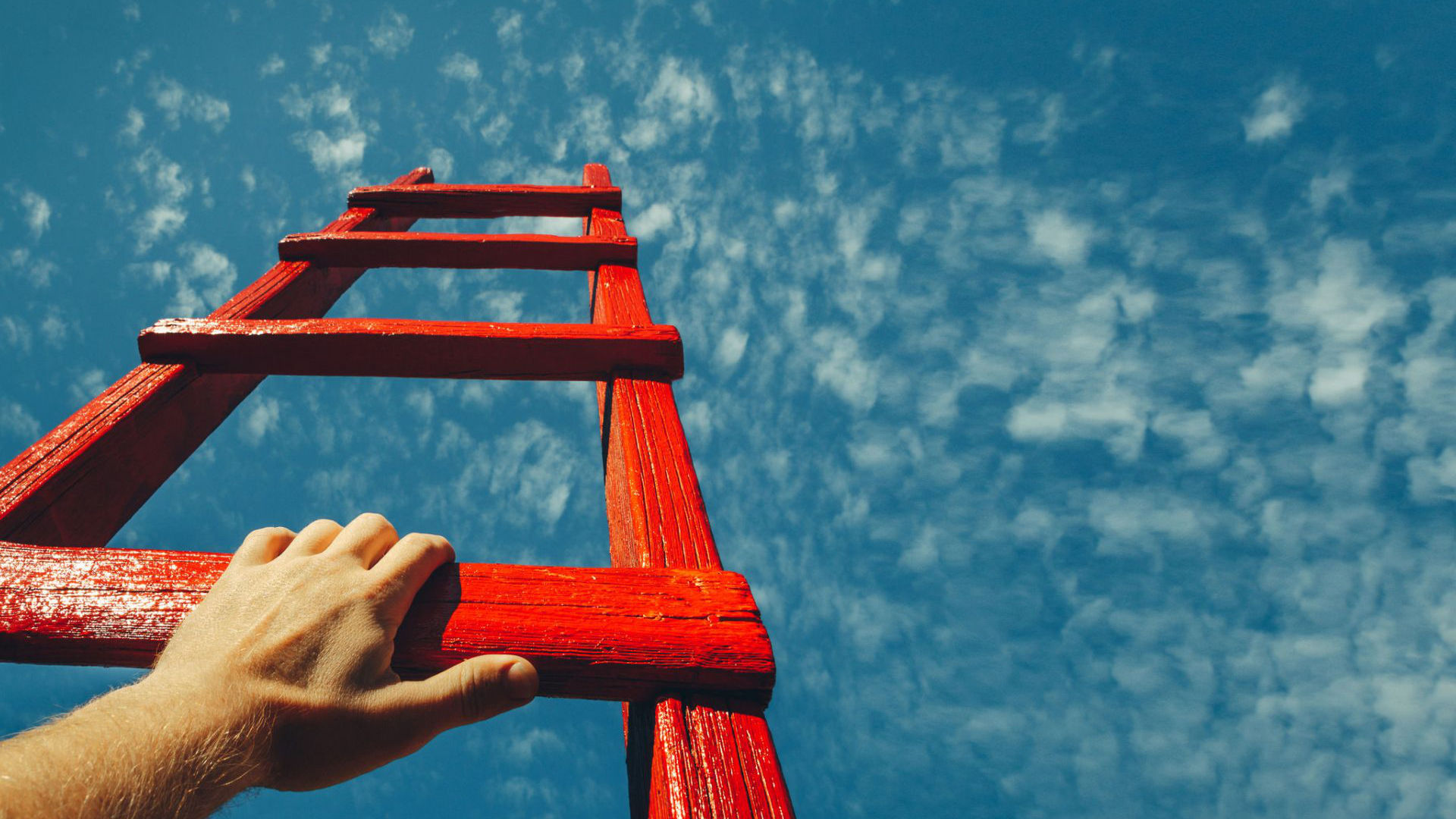 Peter’s Ladder – SURE WORD MINISTRY